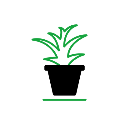 Repotting Guide | Ryan's Plant Shop